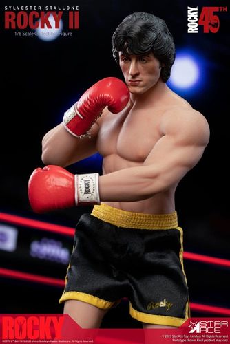 Rocky II Estatua 1/6 Rocky Normal Version 30 cm | Frikipolis.com